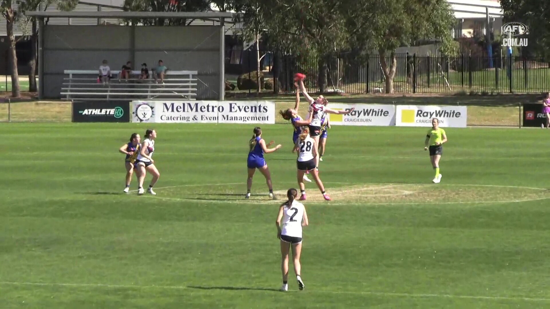 2025 Coates Talent League Girls