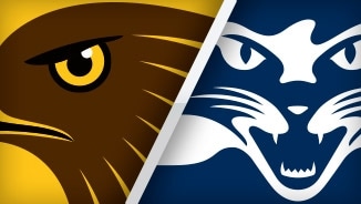 QF 2: Hawks v Cats Q2