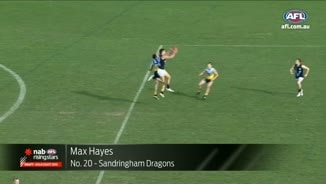 2013 draft prospect: Max Hayes