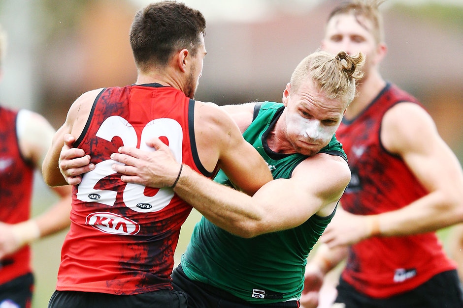Fans' season previews: Essendon