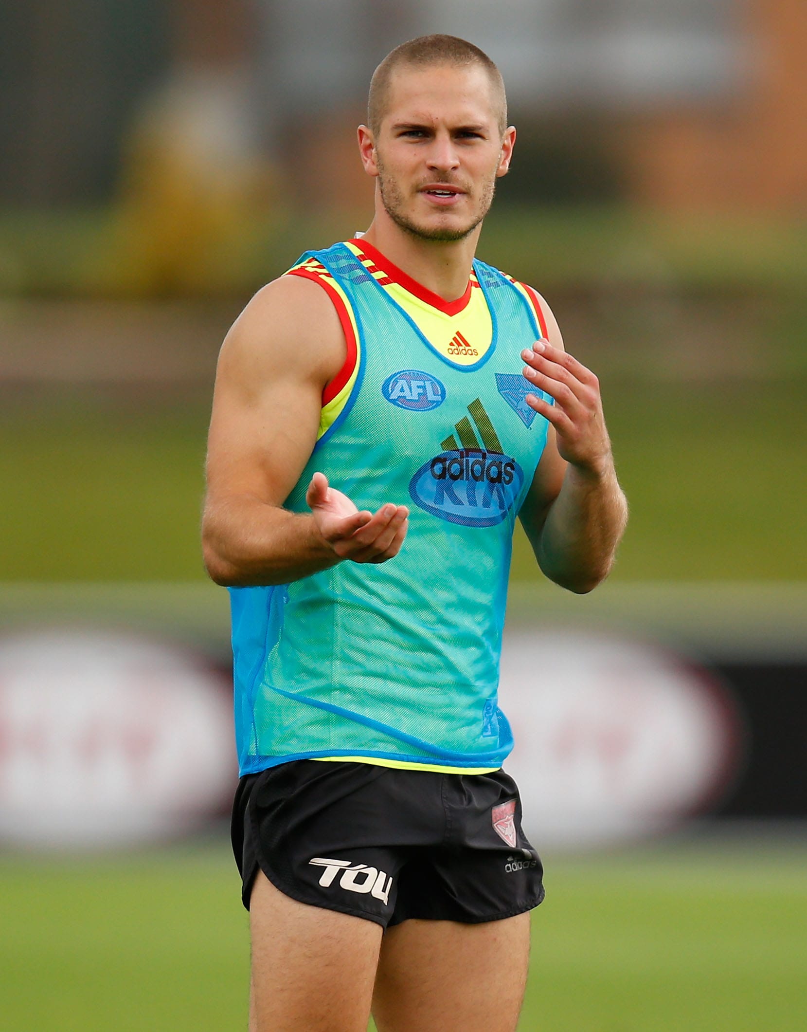 Dons open talks with David Zaharakis over new deal