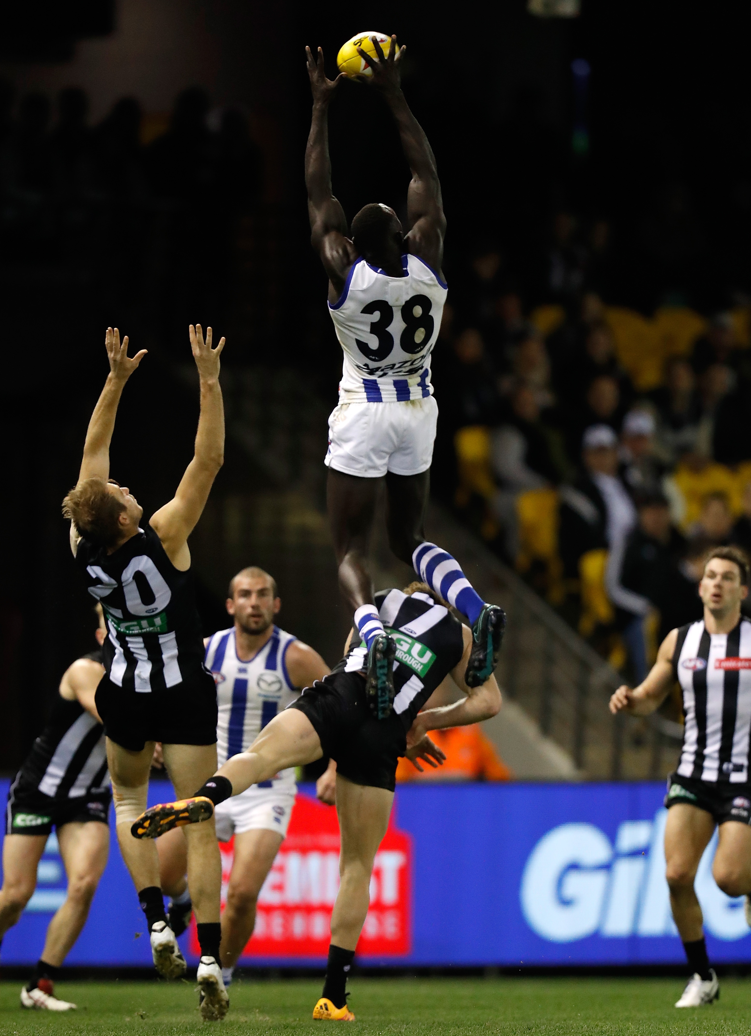 Daw's mark 'almost the best I've seen': Scott