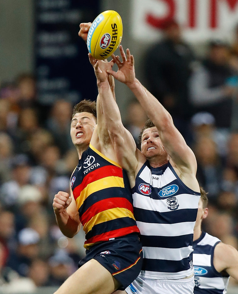 Ex-cricketer makes his pitch for the Crows