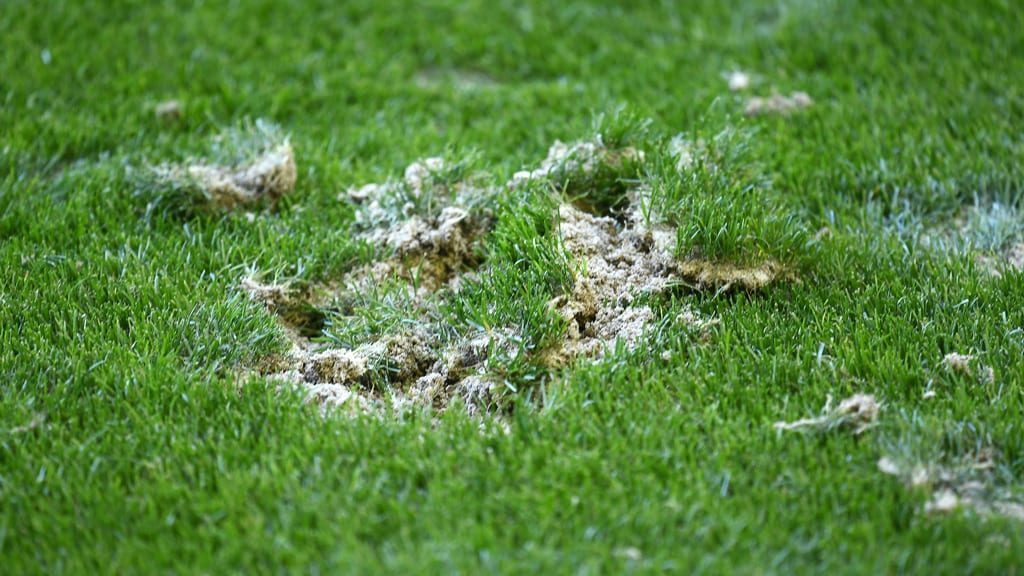 Shifting turf prompts AFL to review Marvel Stadium surface