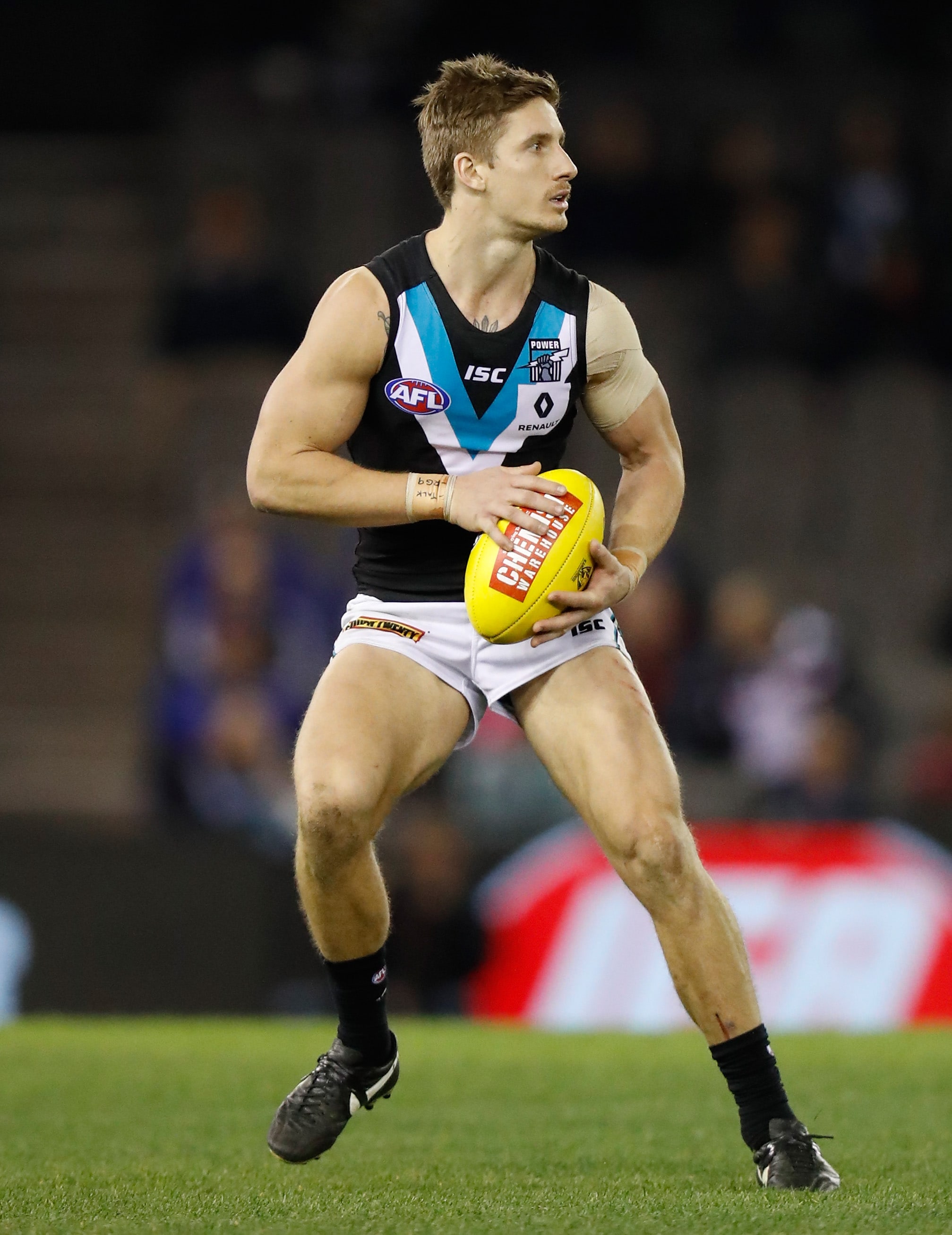 Cats unveil new rugby guernsey for NAB Challenge