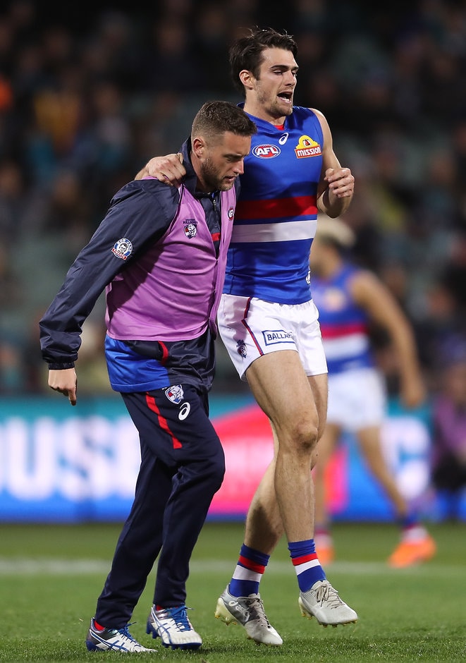 'I hope it's not off the bone': Dogs skipper