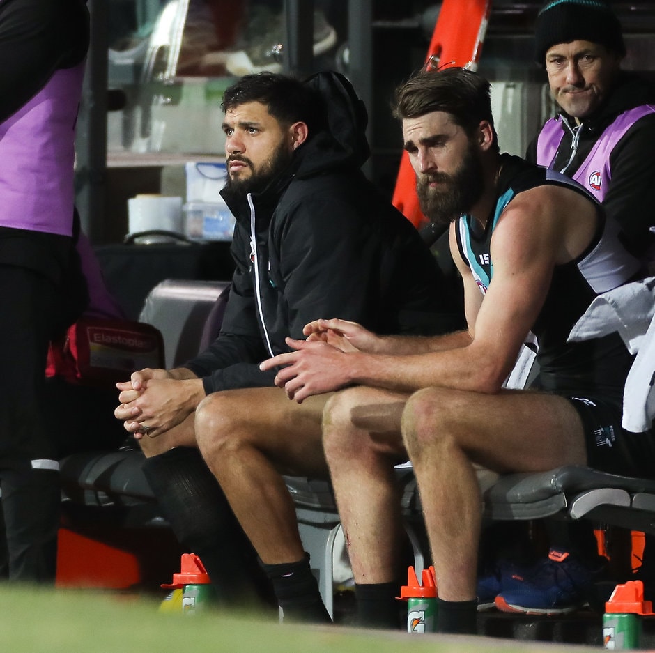 Why a big Eagle is 'puffing his chest out'