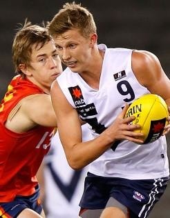 Whitfield wins Larke Medal