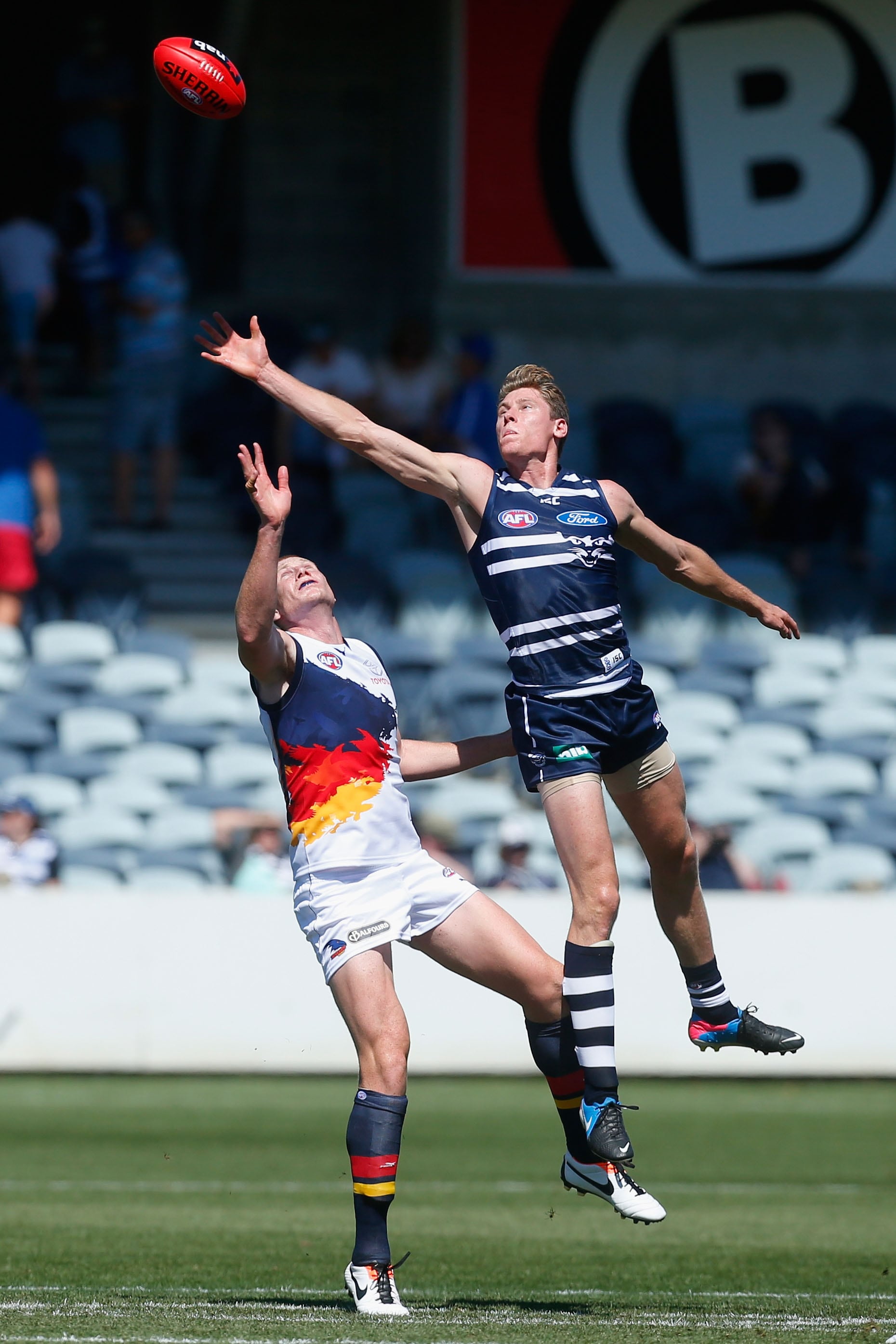 Cats rookie eyes shock round one debut