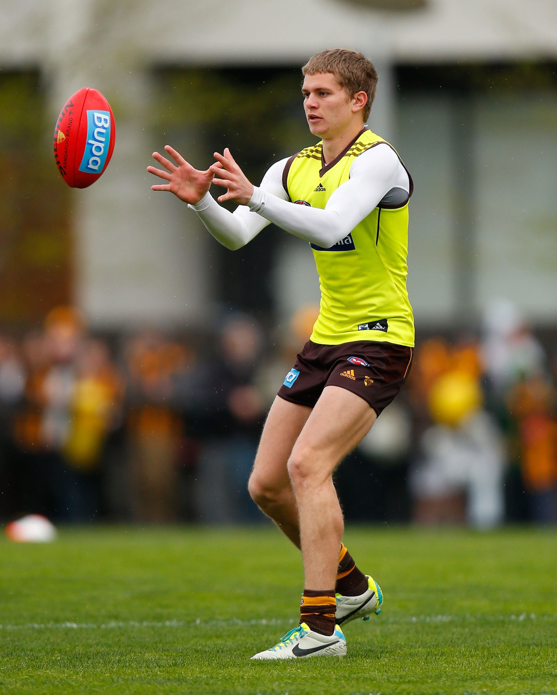 Hawks play 'wait and see' with Anderson