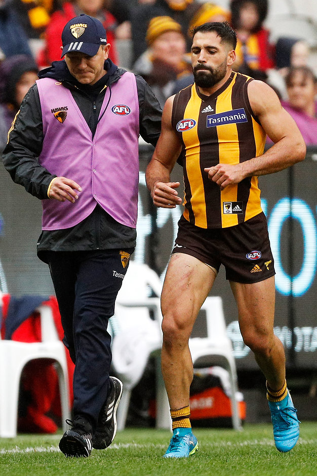 Hawks could go tall to replace injured duo