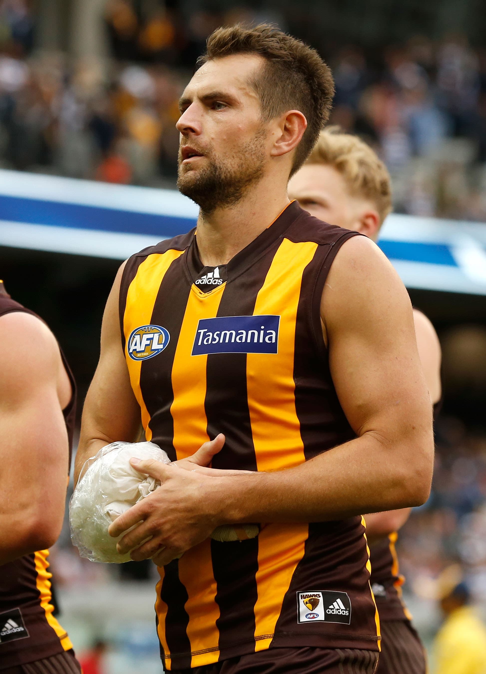 Hawk skipper Luke Hodge suffers suspected broken arm in loss to Cats
