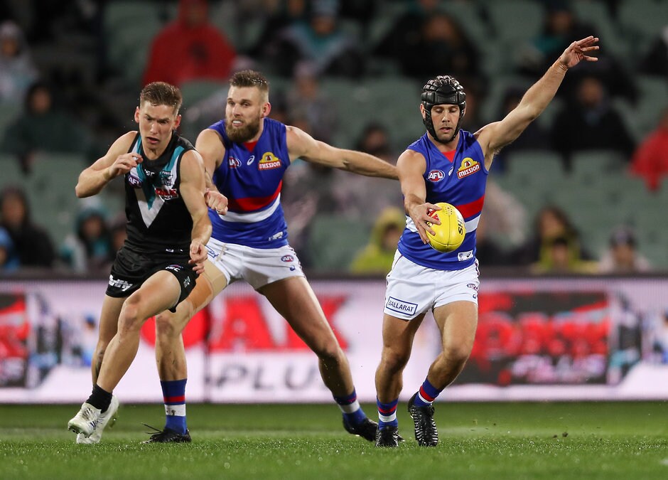 Diminutive Dog out for 3-4 weeks with hamstring injury