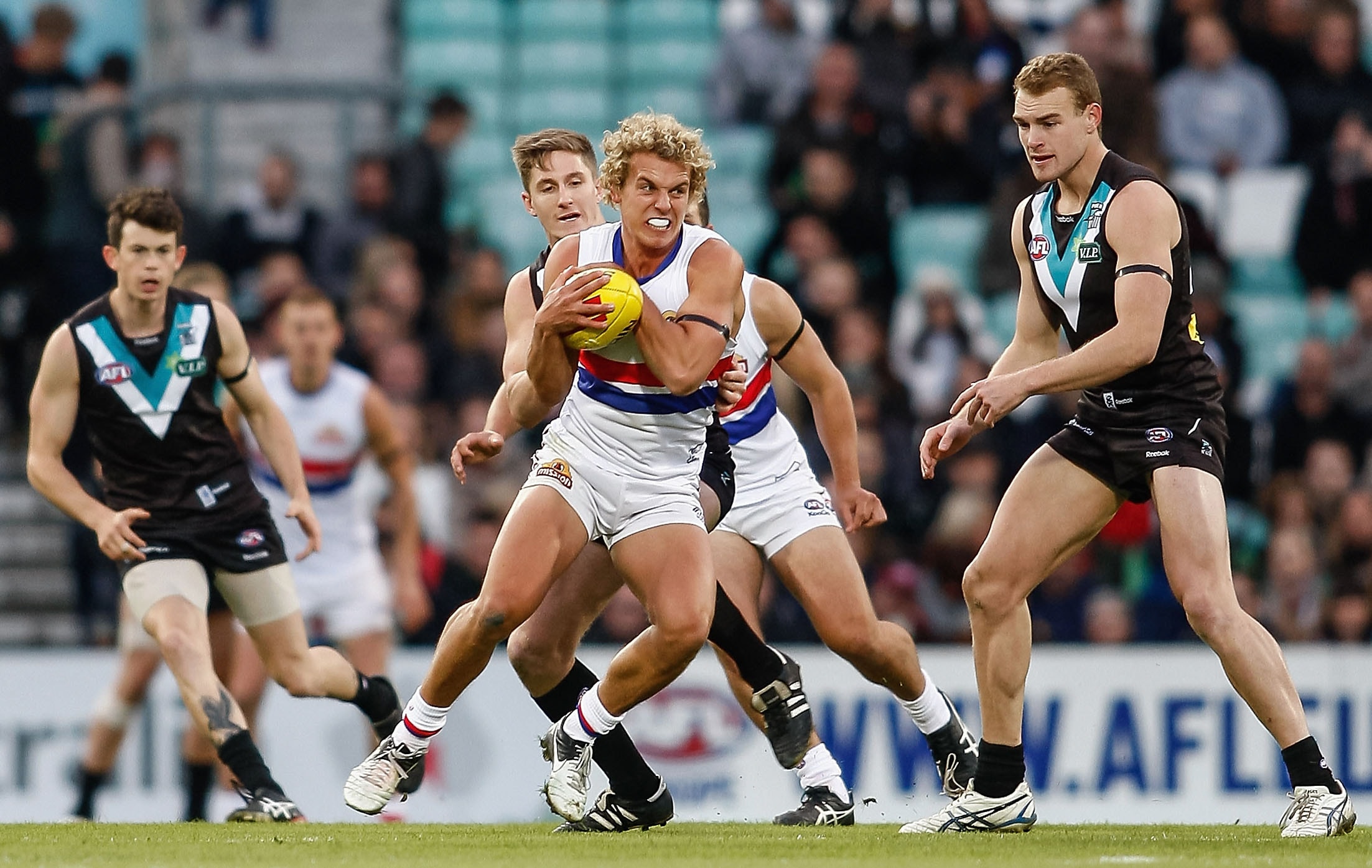 On the rise: Mitch Wallis