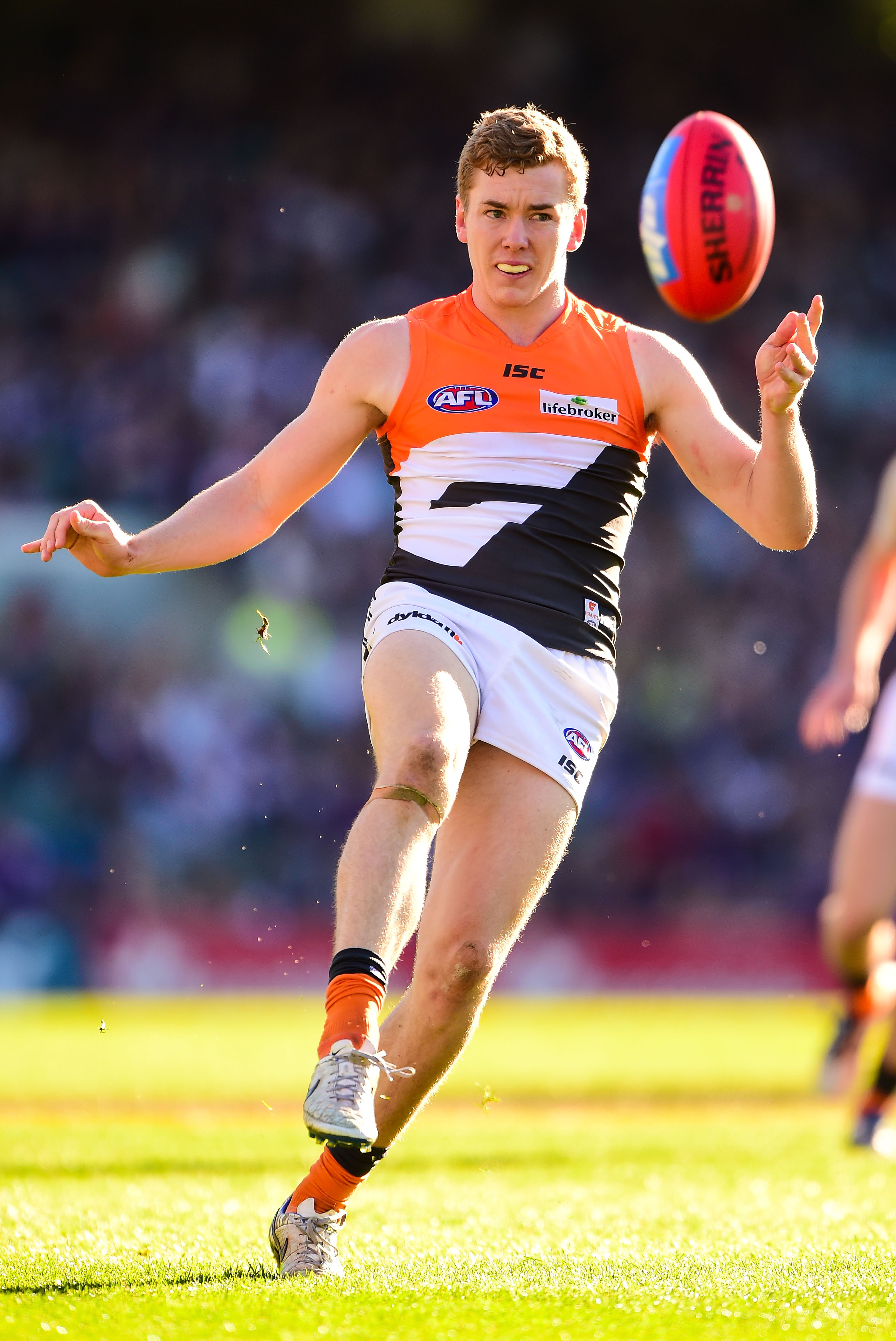 Get to know: New Tiger Jacob Townsend