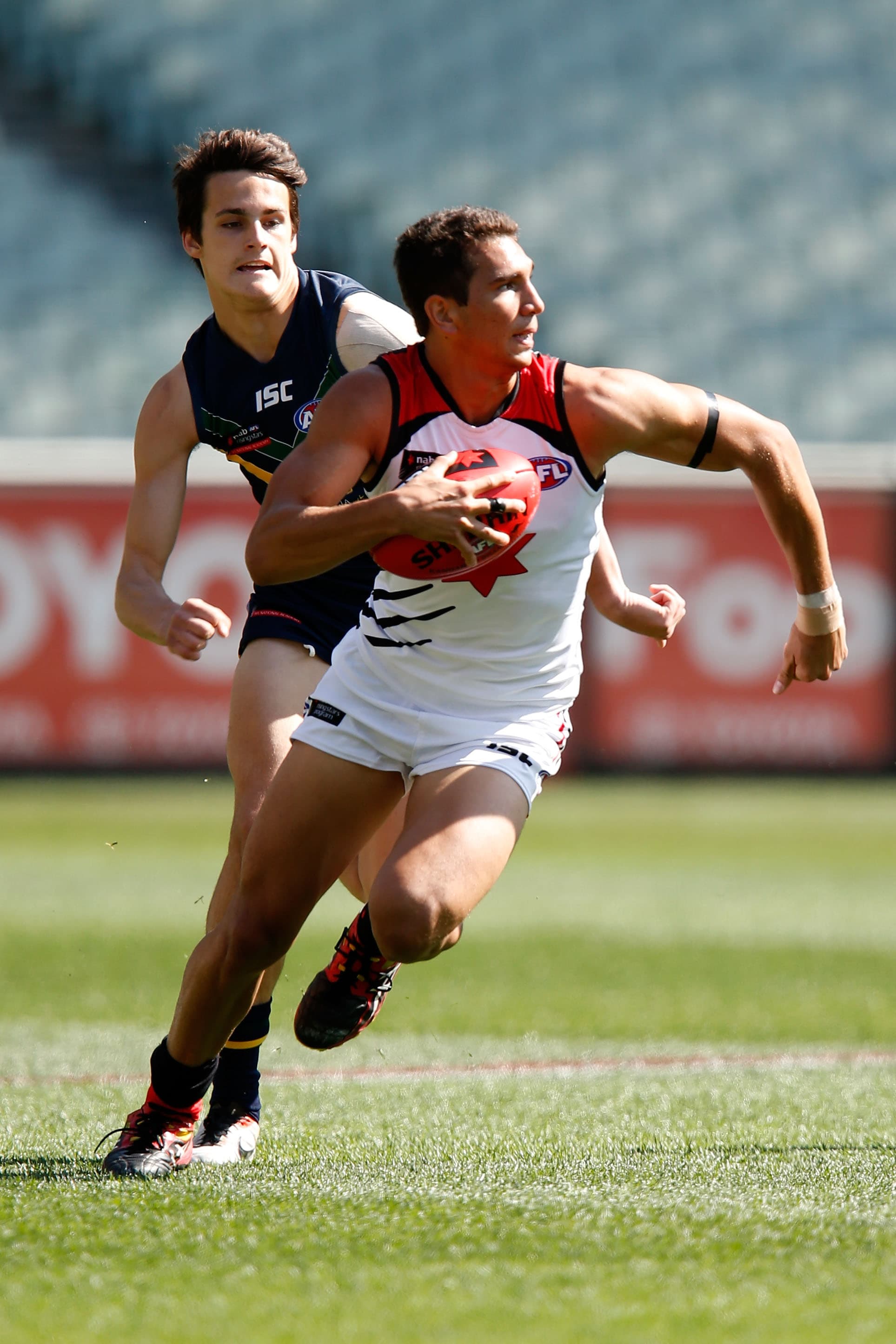 Cockatoo flying as draft nears