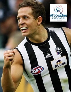 Ball and Judd deemed best on ground