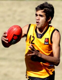 Final mini-draft explained