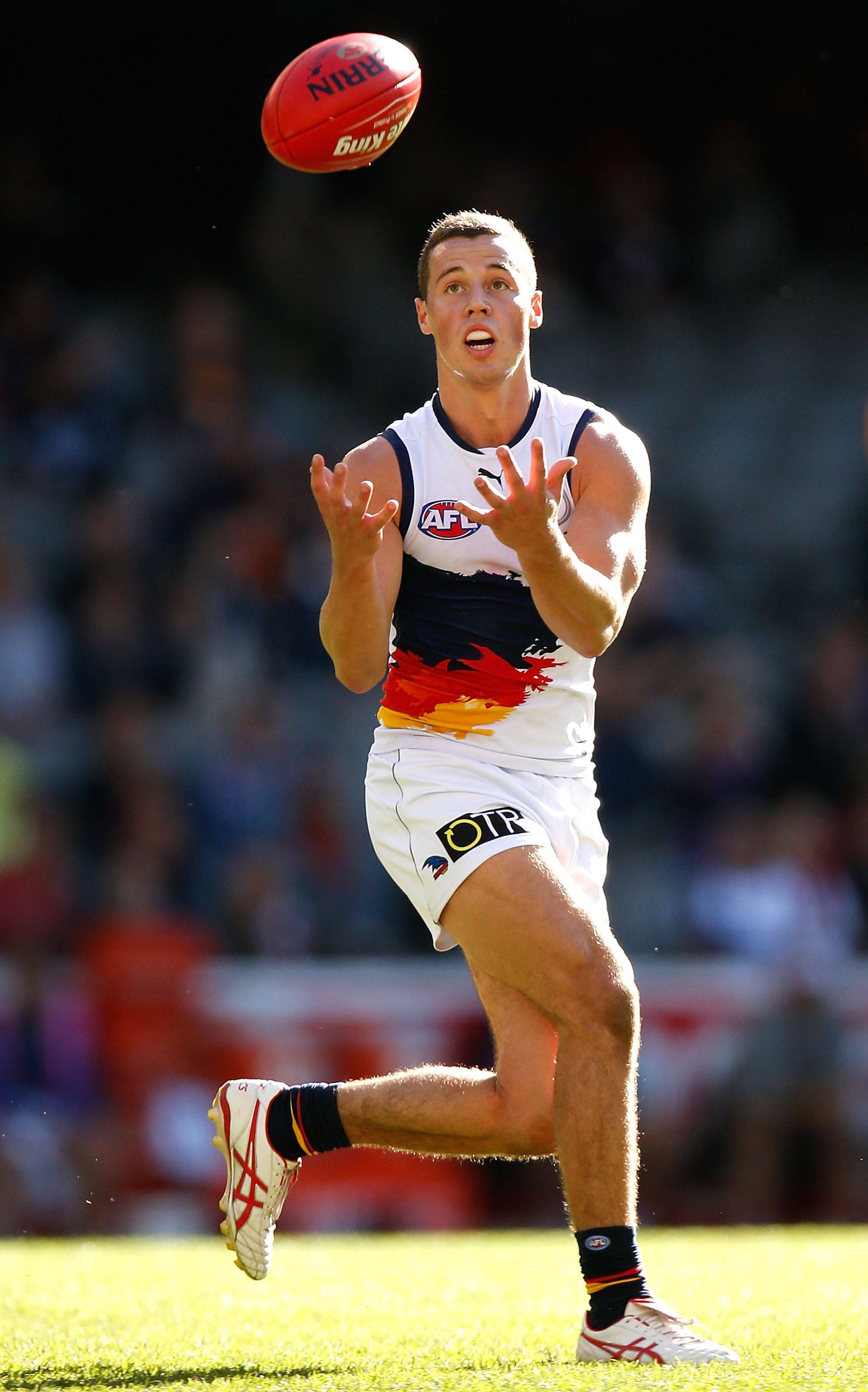 Crows coping with backline exodus, declares Luke Brown