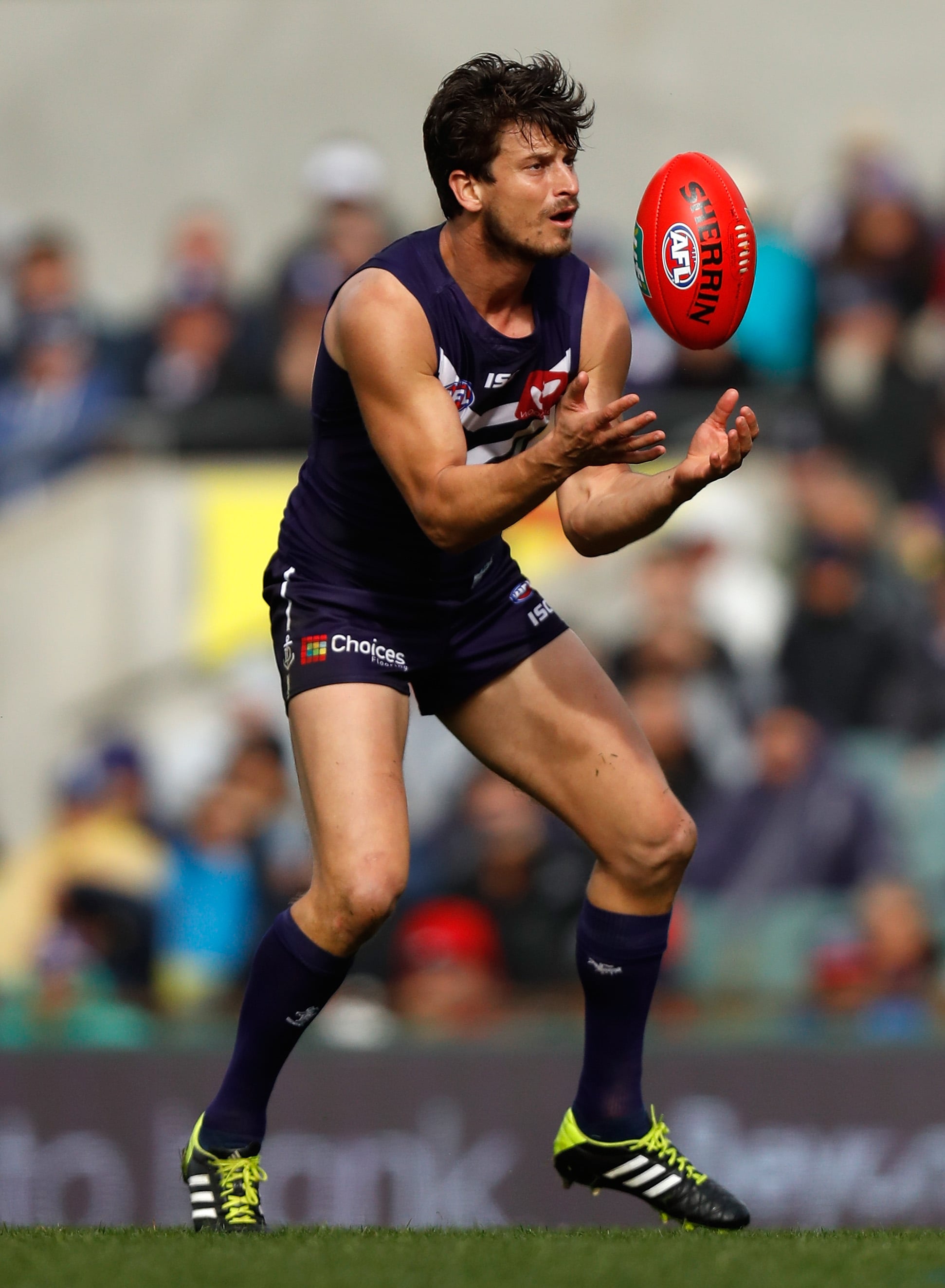 Another Docker down as Freo cuts veteran defender