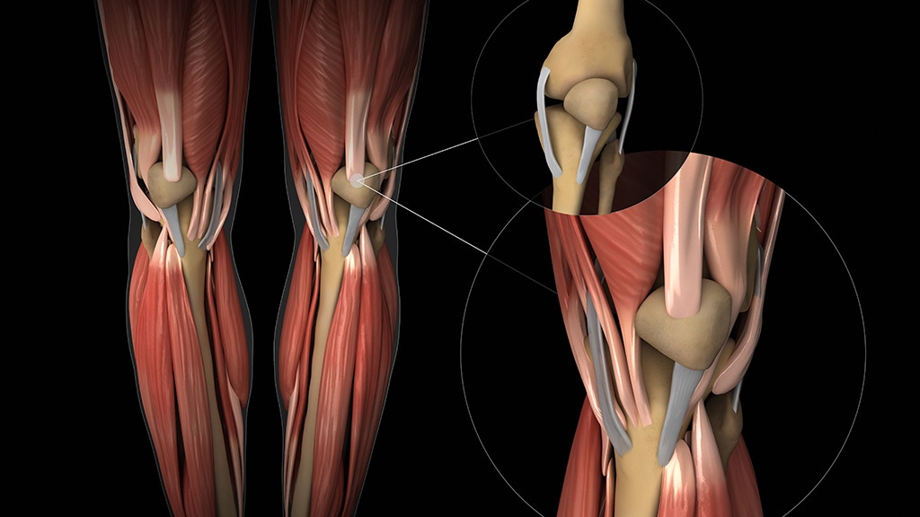 The injury with the highest recurrence rate: Why it happens and best ...