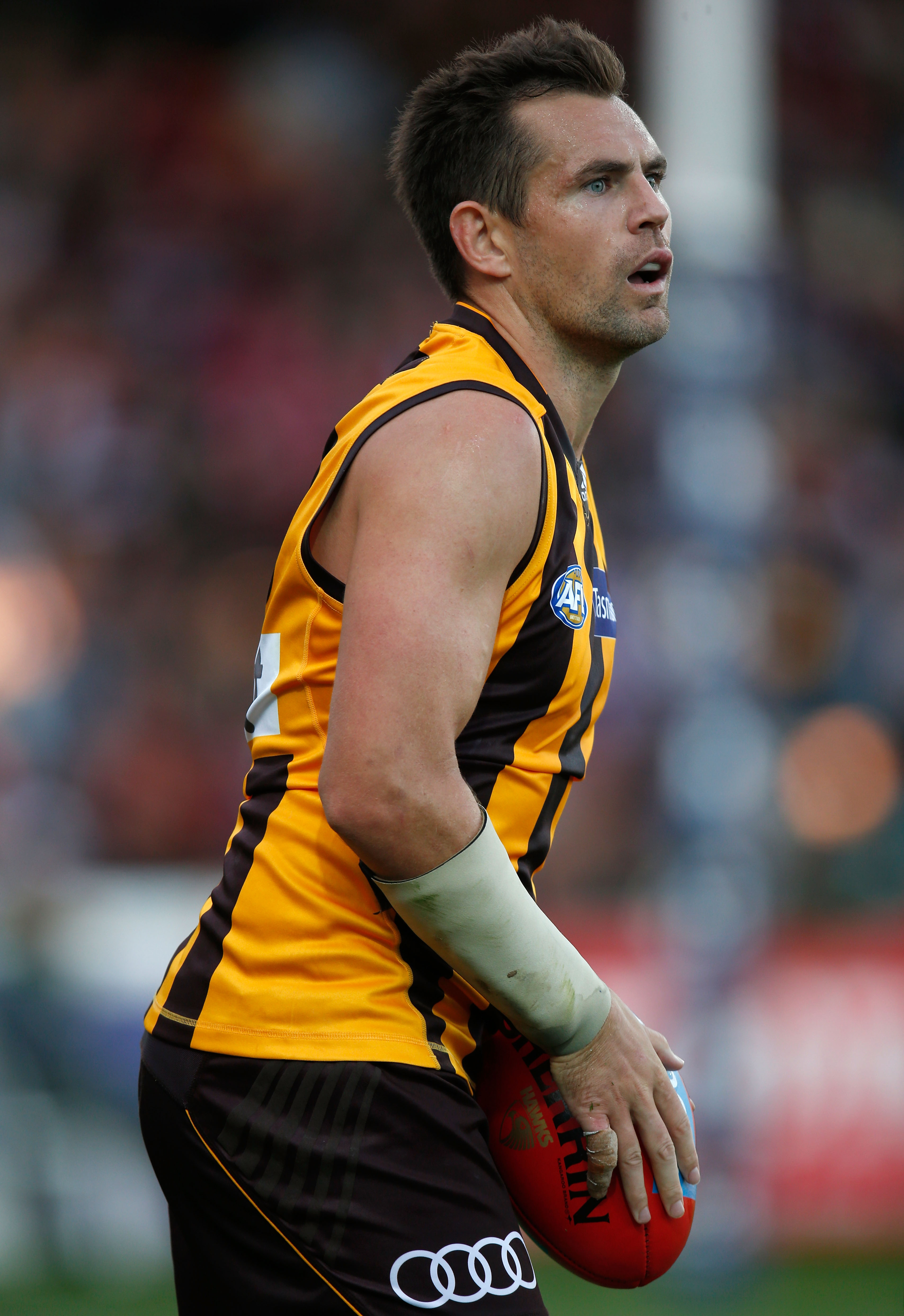 Hawk skipper Hodge set for round 14 return