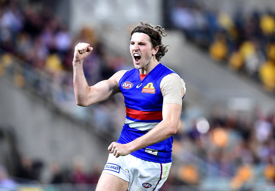 Superstar Dog blows field away to be crowned AFLCA champion