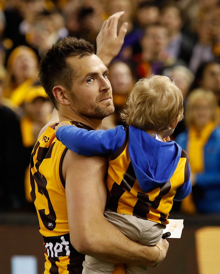 Hodge joins Hawk-led revival at Lions