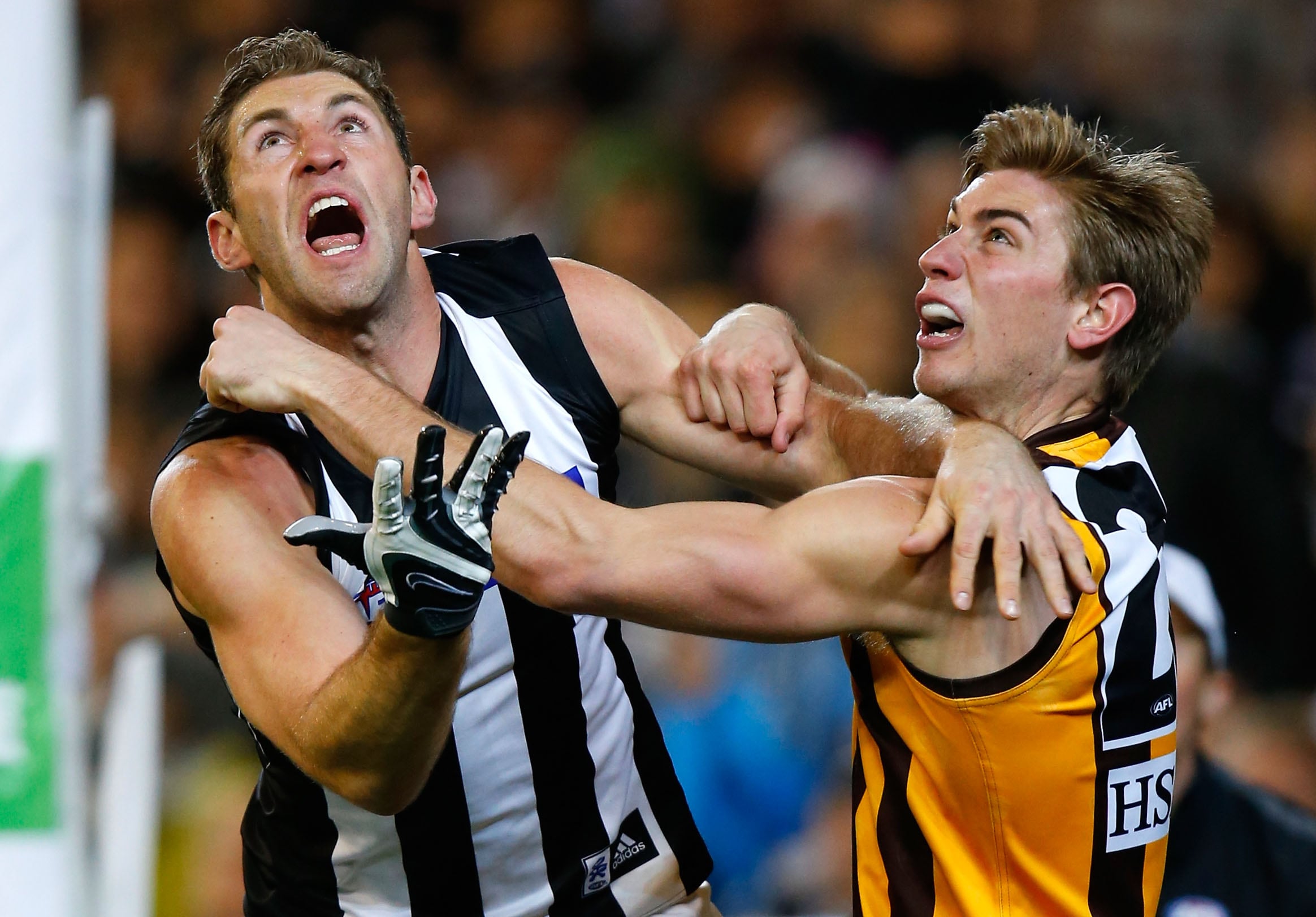 Hawk defence looks forward to life of Brian
