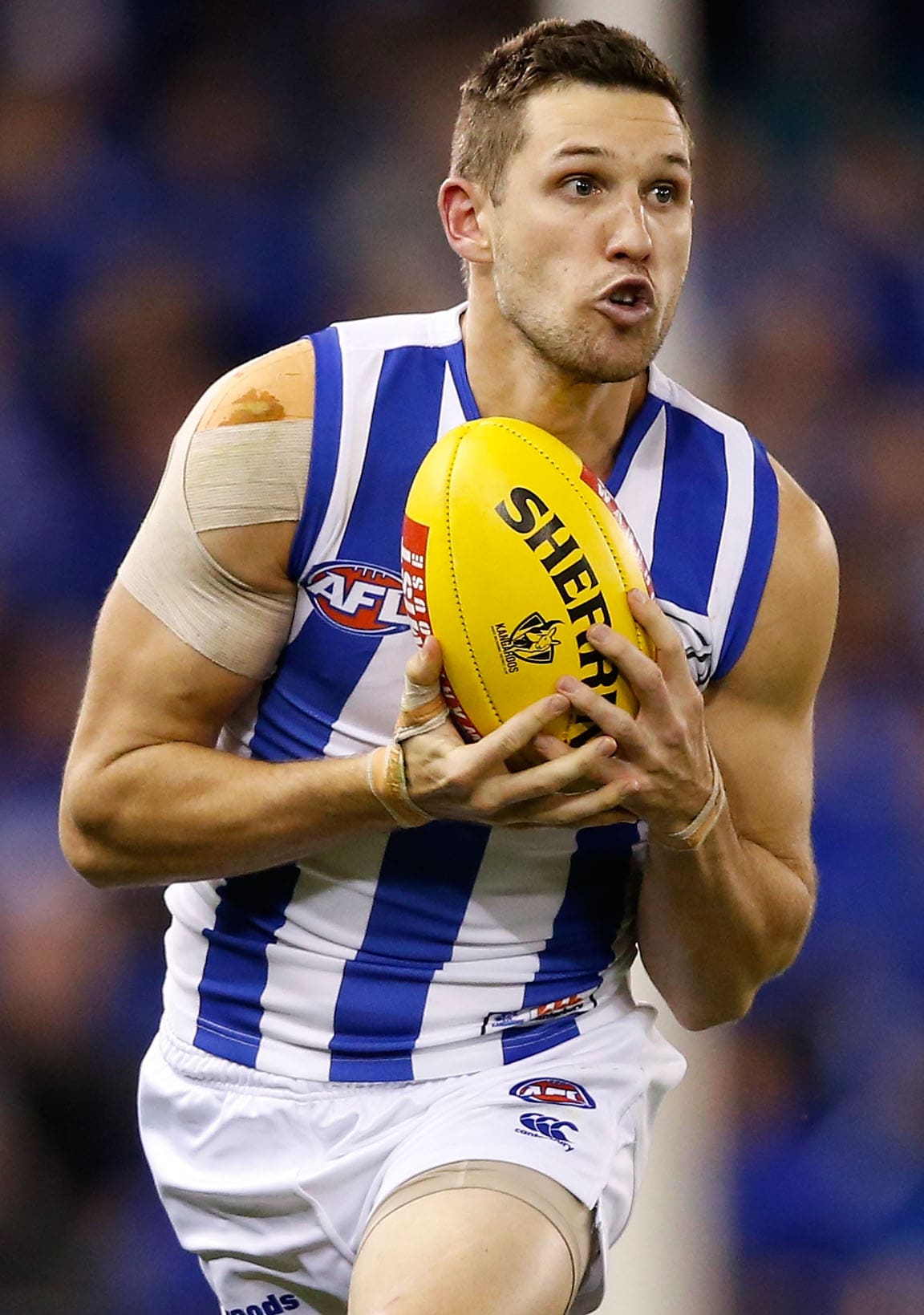 Roos may have Blackout as forward looks for opportunities