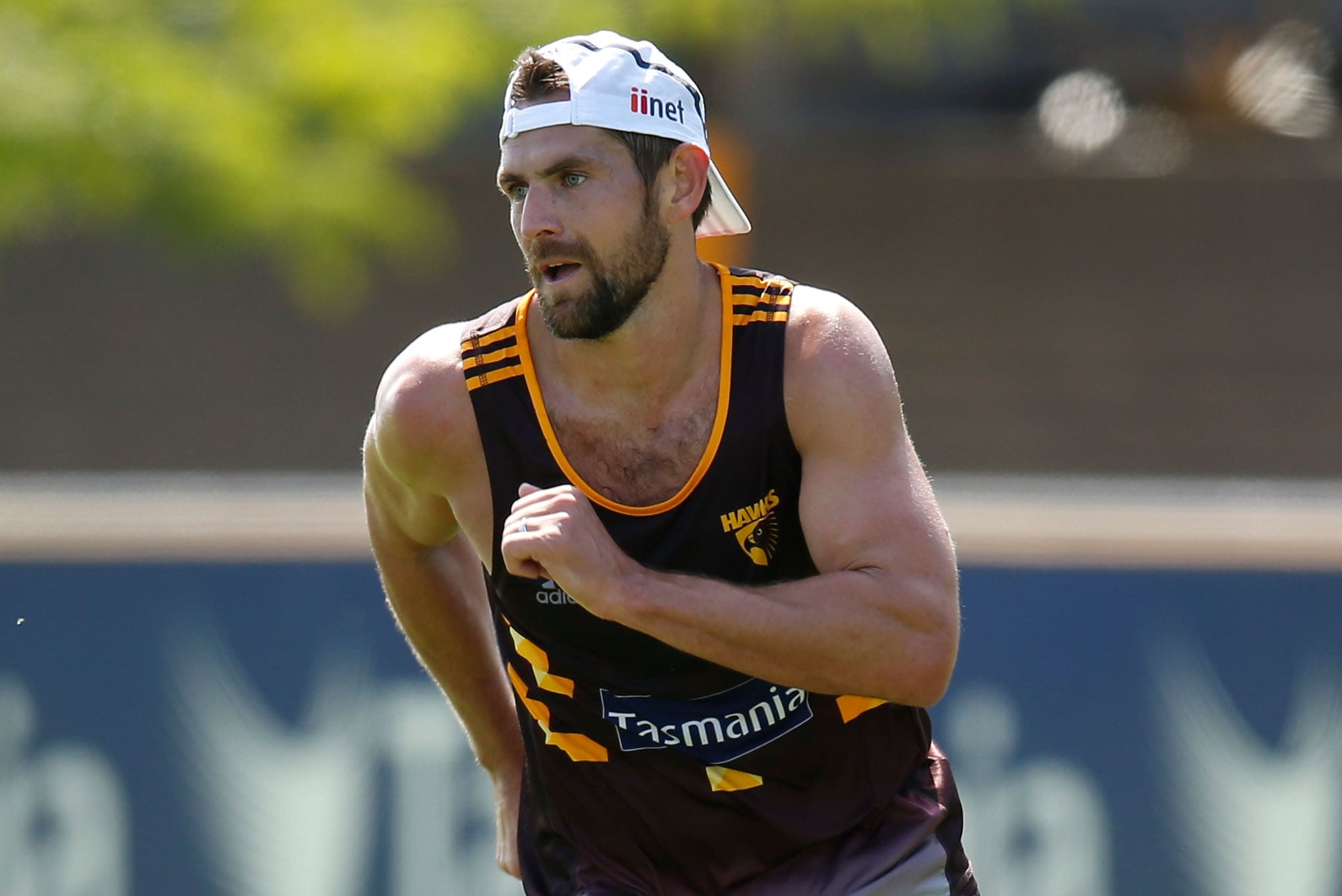 Hodge to captain Hawthorn for sixth consecutive year