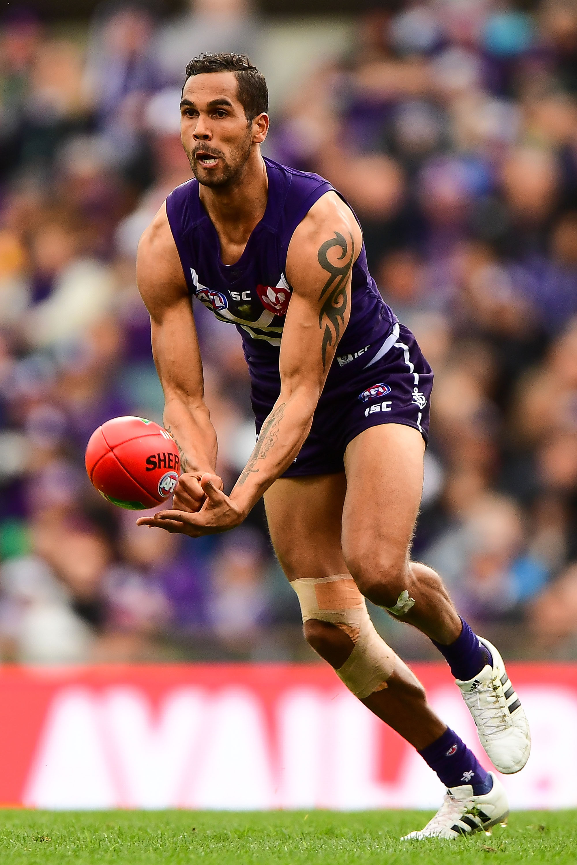 Dockers forward Shane Yarran calls it quits