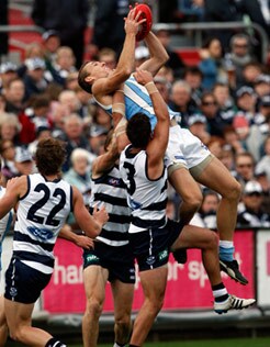 Petrie touches the sky