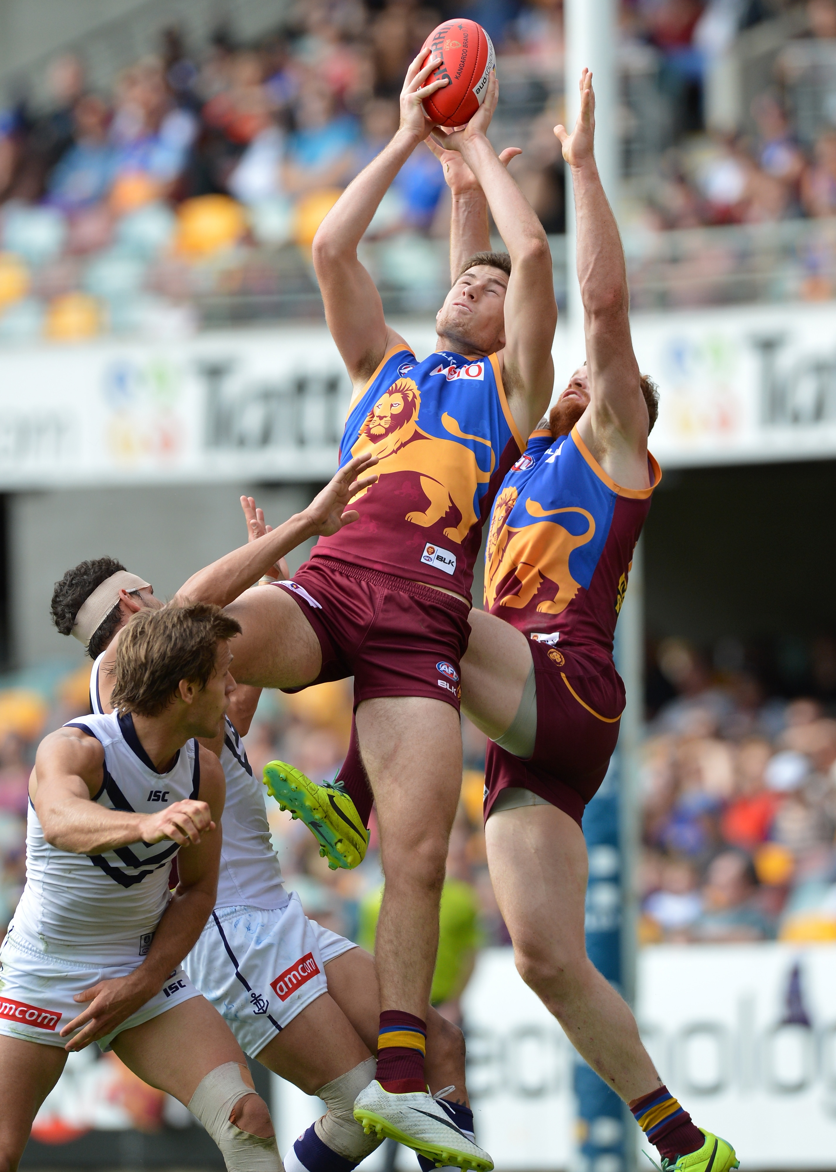 Lions lose key forward Jono Freeman to injury