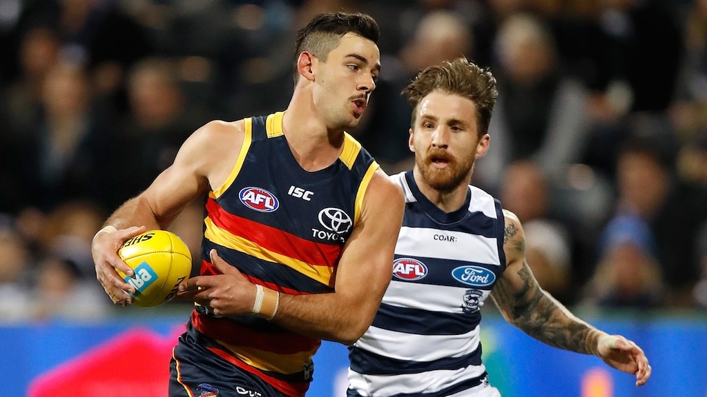 Clash of the titans: Crows v Cats