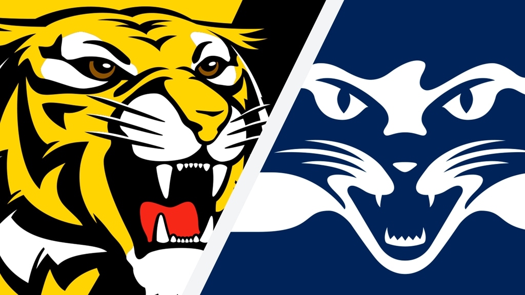 PF2: Tigers v Cats Q4