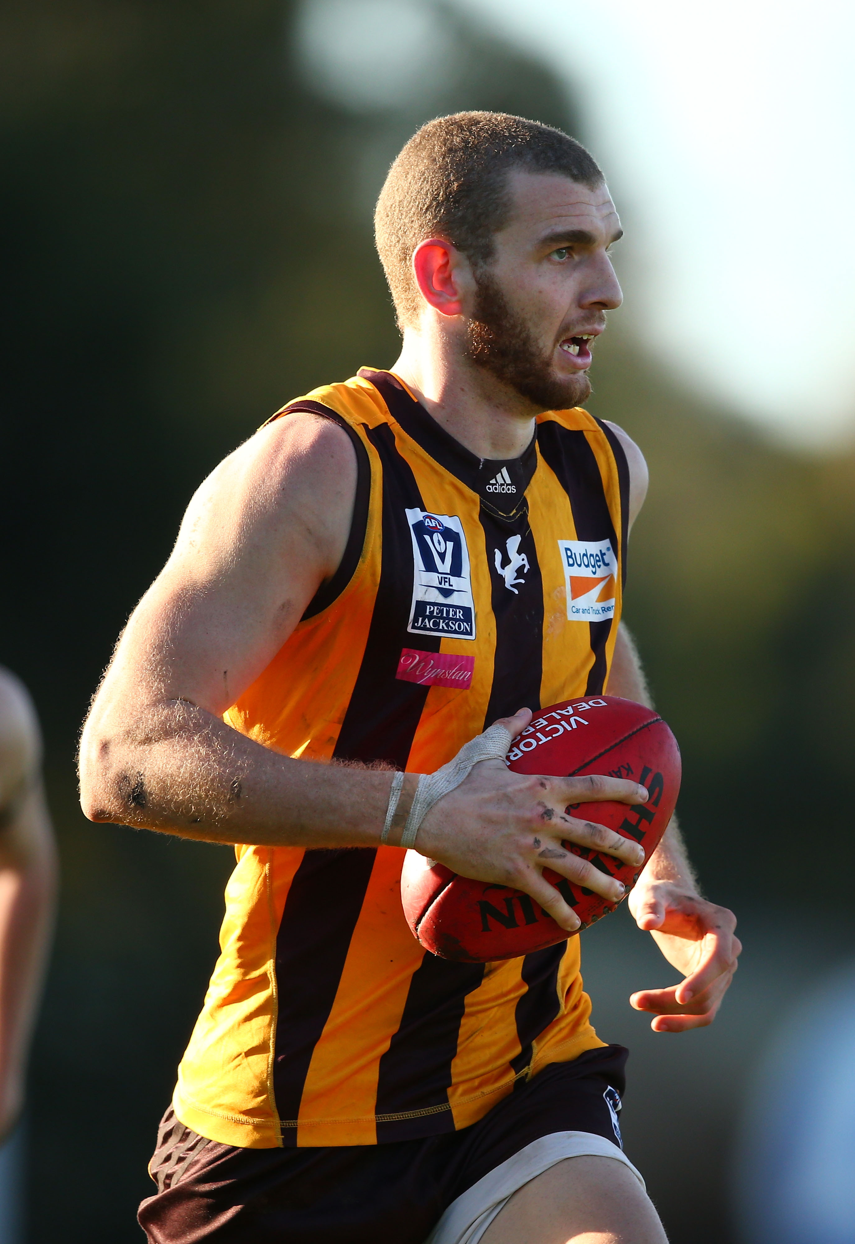 Hawthorn's Kiwi to make flying debut against Demons