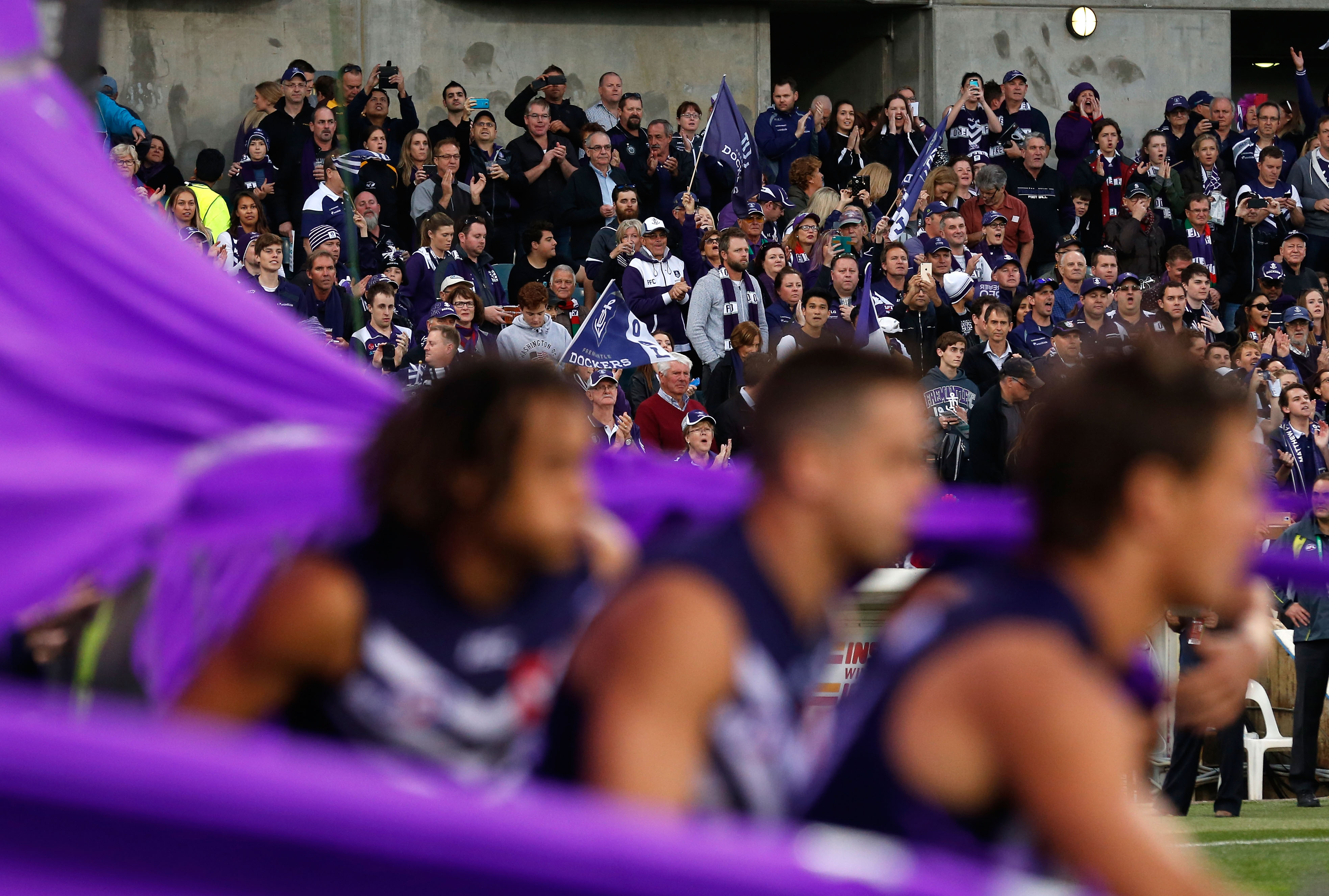 Fremantle fan gets eight-month jail term for punch