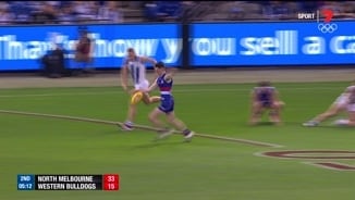 Dog snatcher pounces and scores