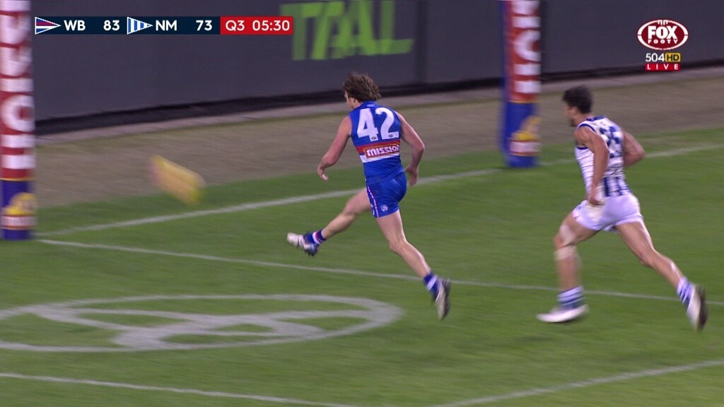 Hunting Dogs pick off running Roos