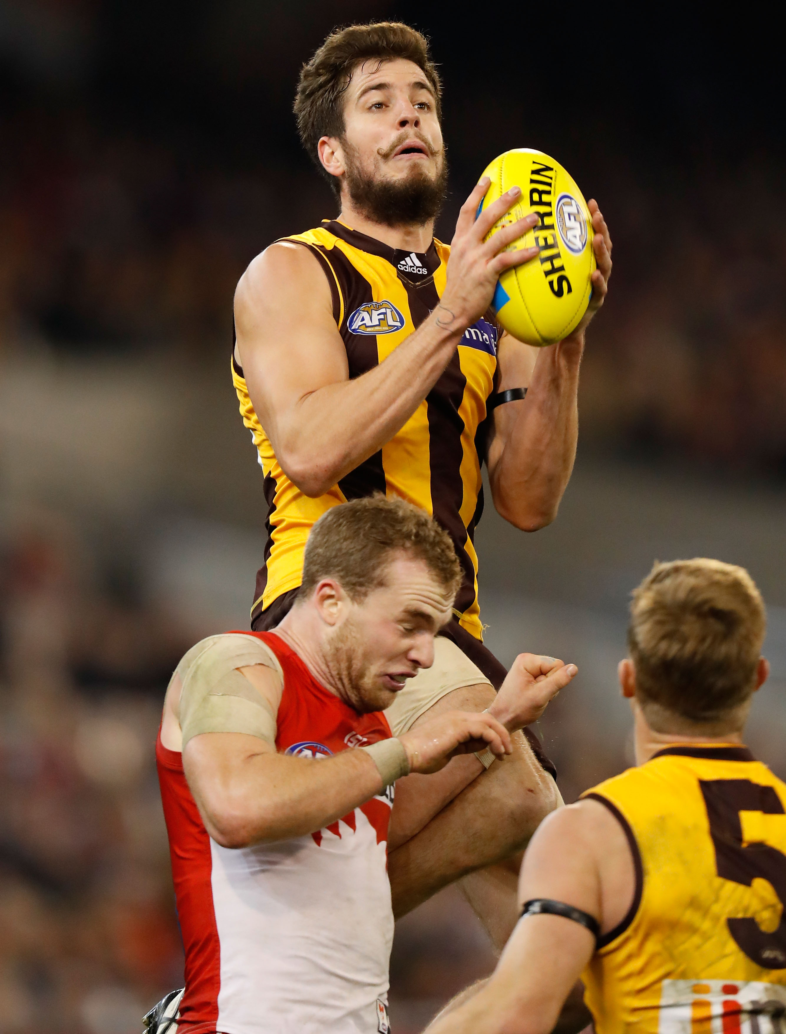 Underrated Hawk happy flying under the radar