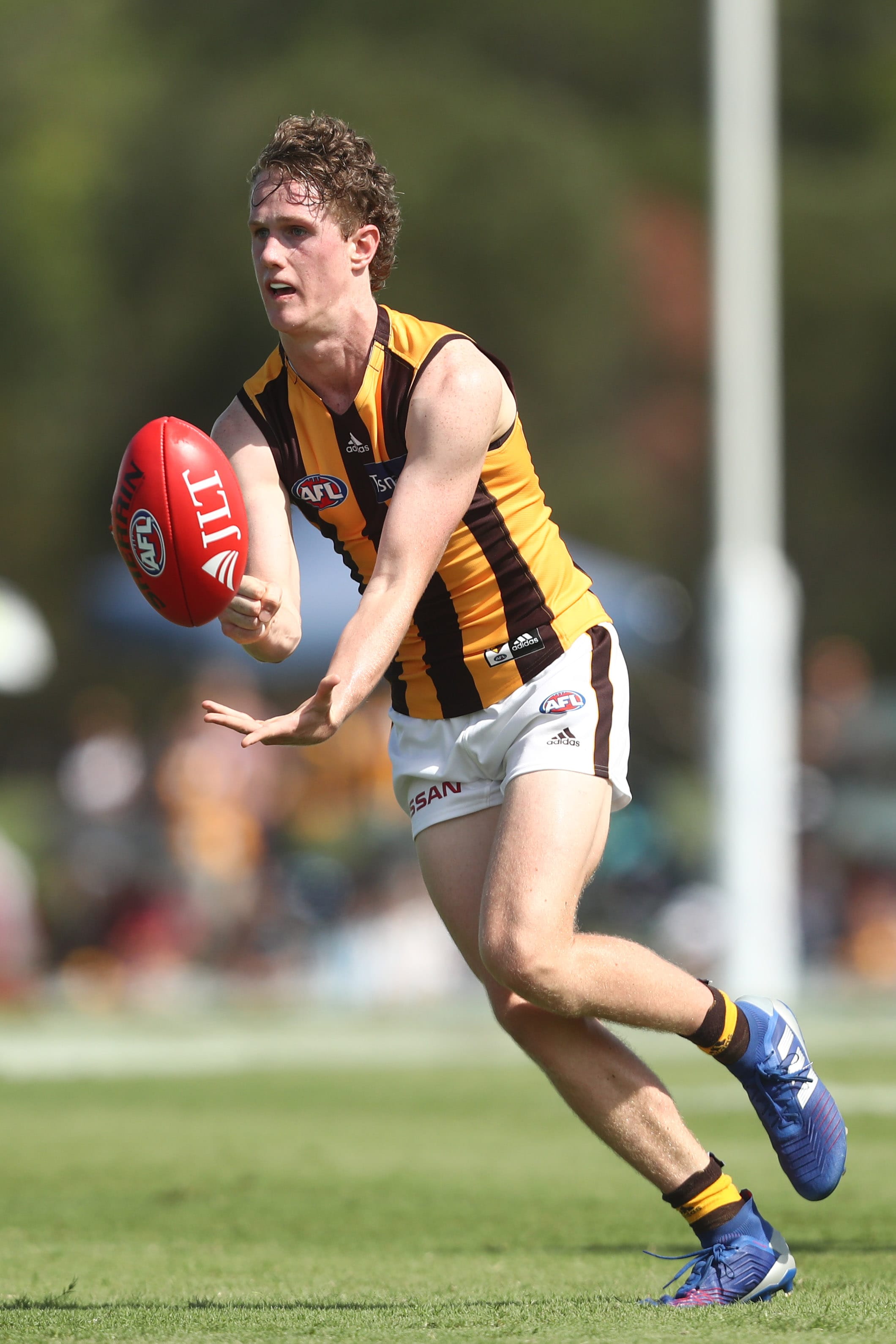 Young Hawk goes down with serious knee injury