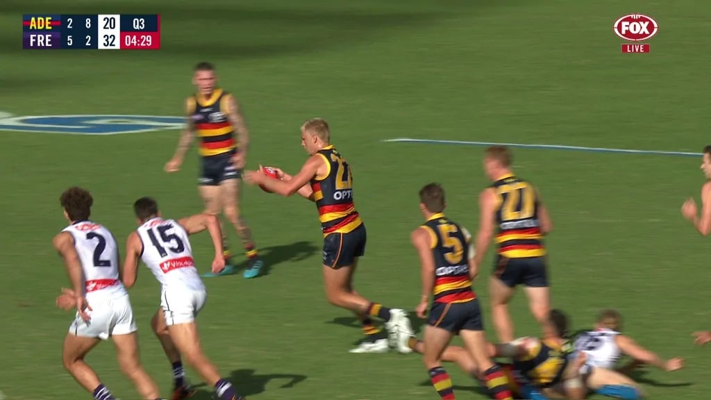 Billy brings life to Crows after crafty crumb