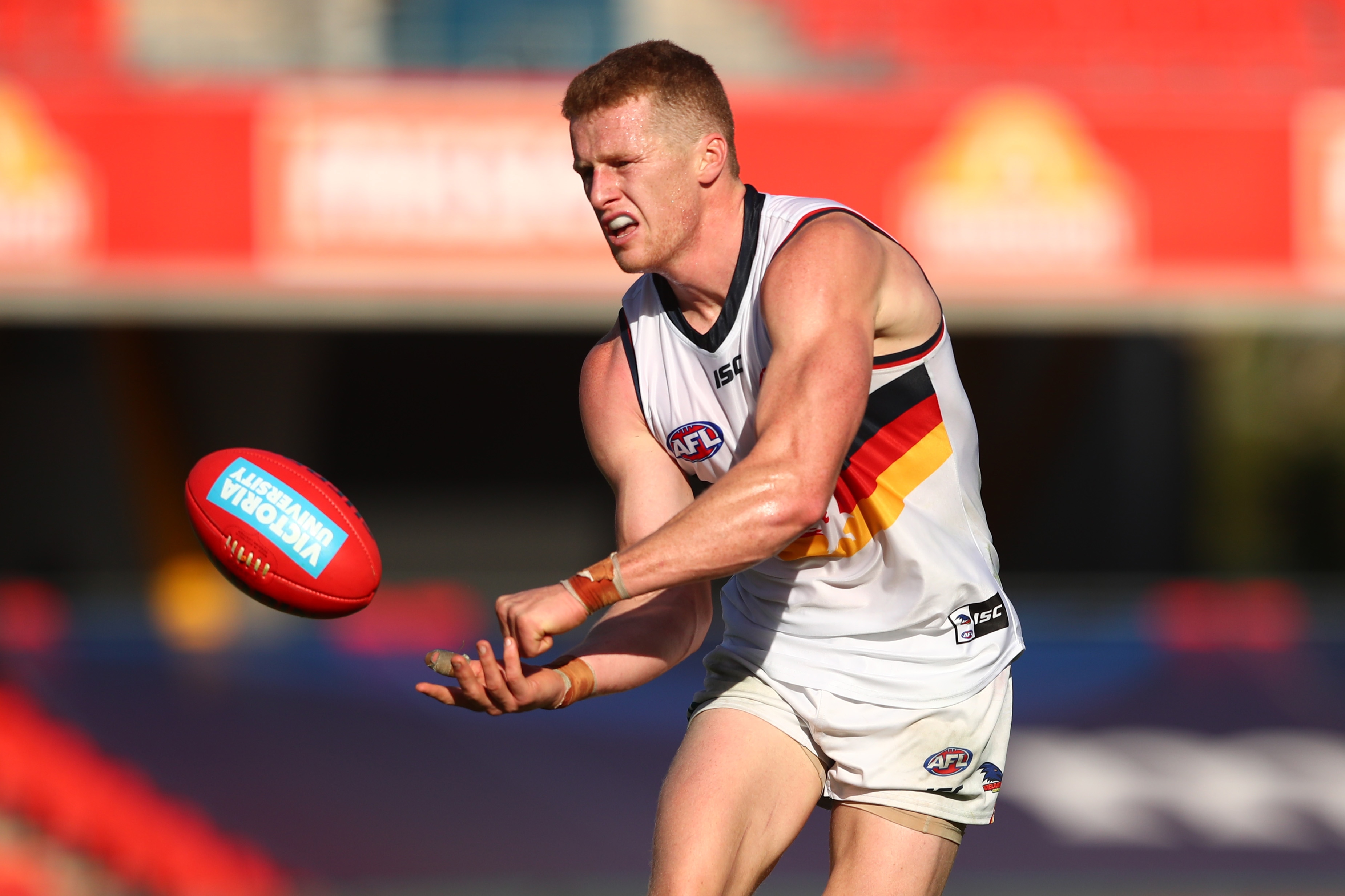 Big Crow wins Malcolm Blight Medal by a single vote