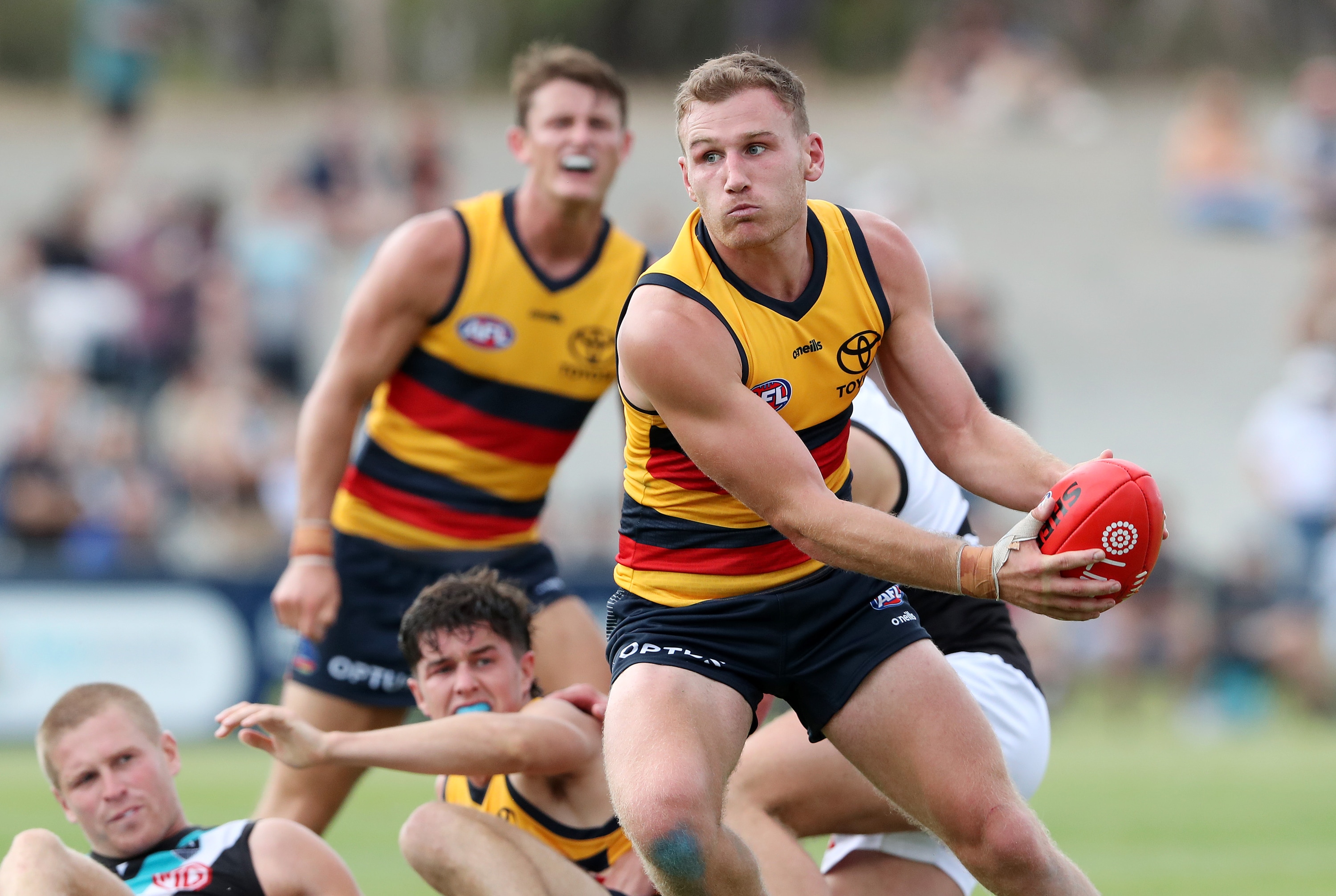 Transformed Crow edges ex-Lion to win second Malcolm Blight Medal