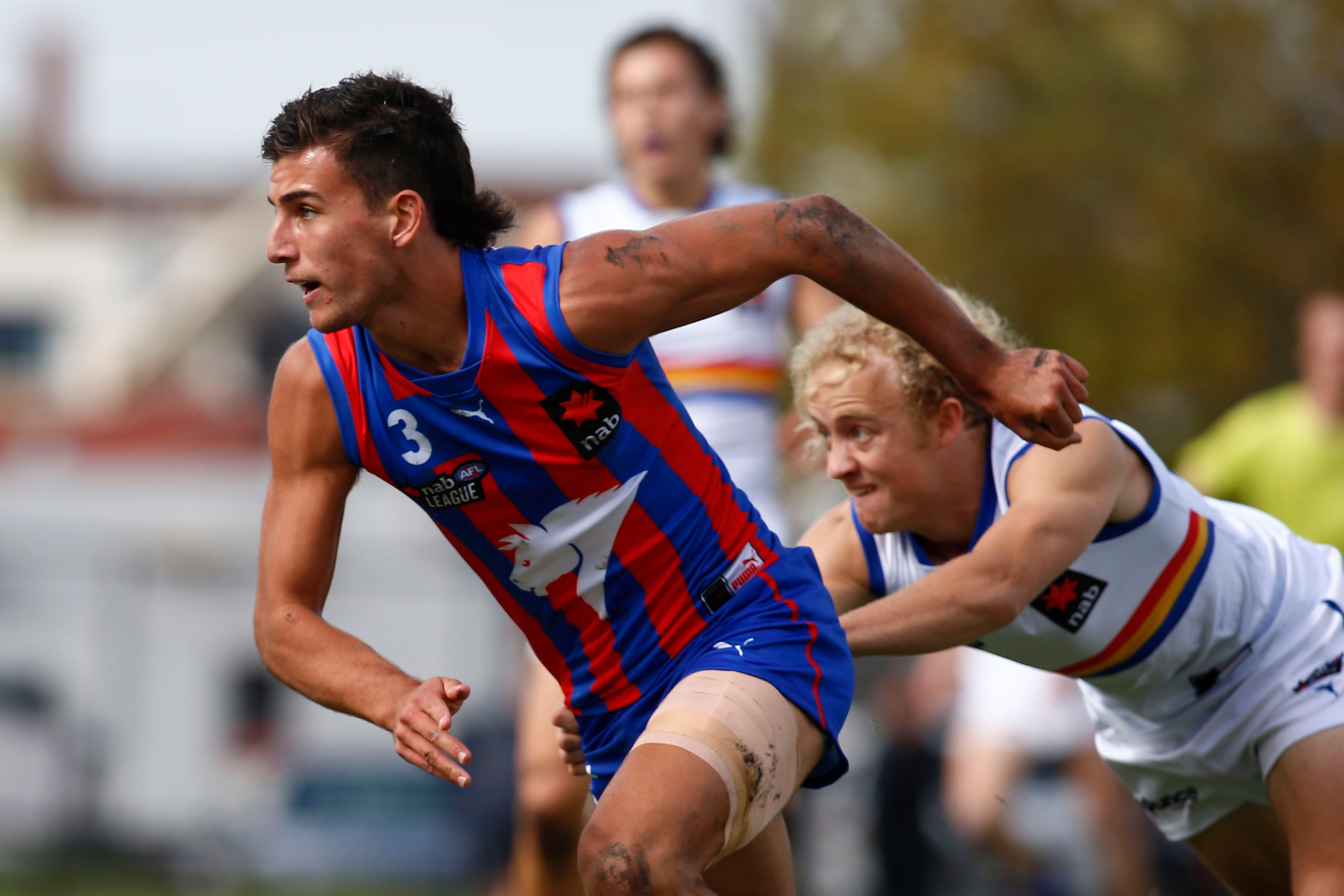 Nick Daicos highlights: Son-of-a-gun Magpie dazzles with sublime skills