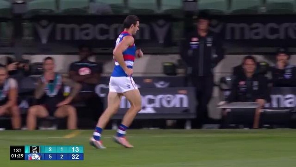 Dogs defender off with yet another hamstring injury