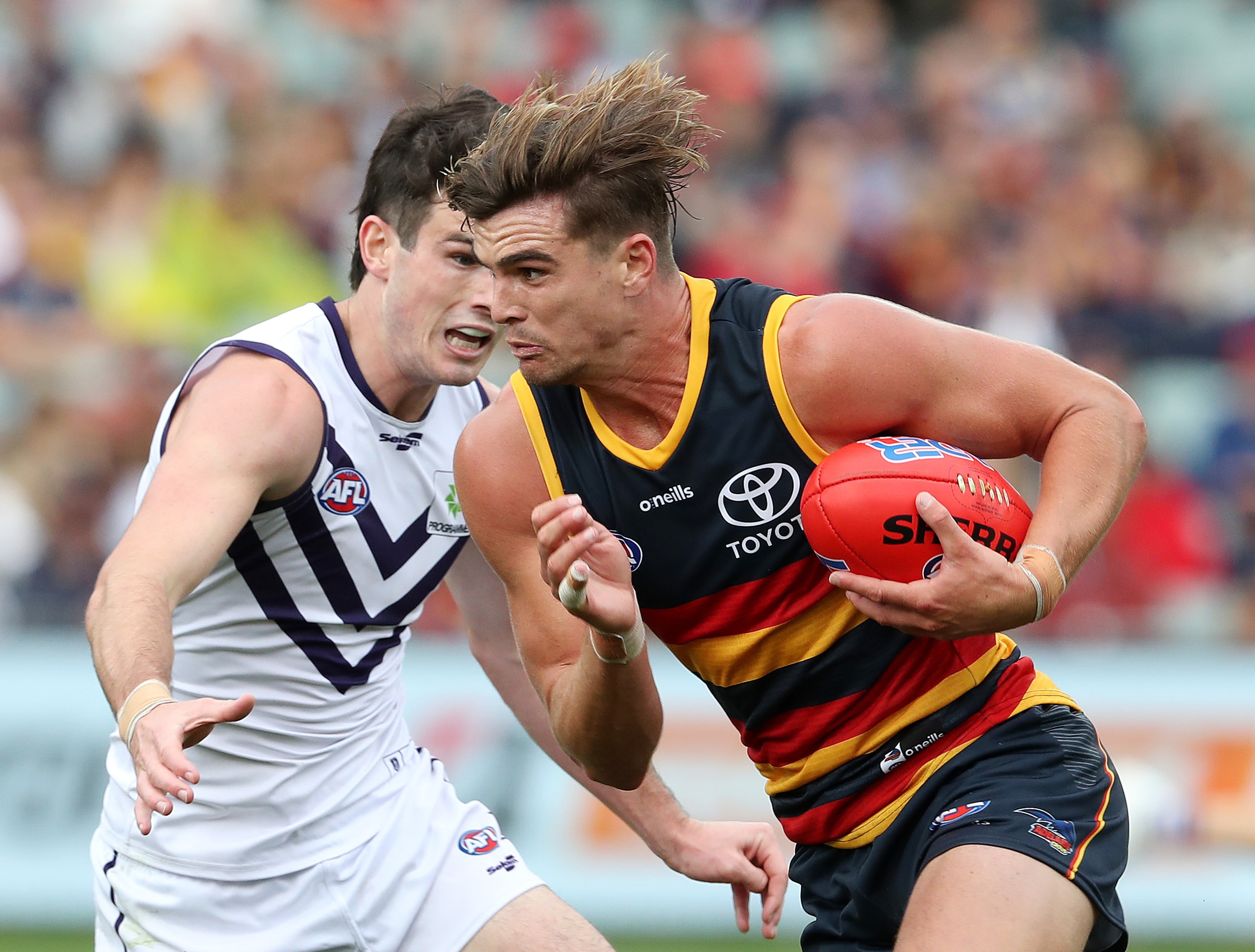 Keays to success: Reborn Crow earns new deal after big year