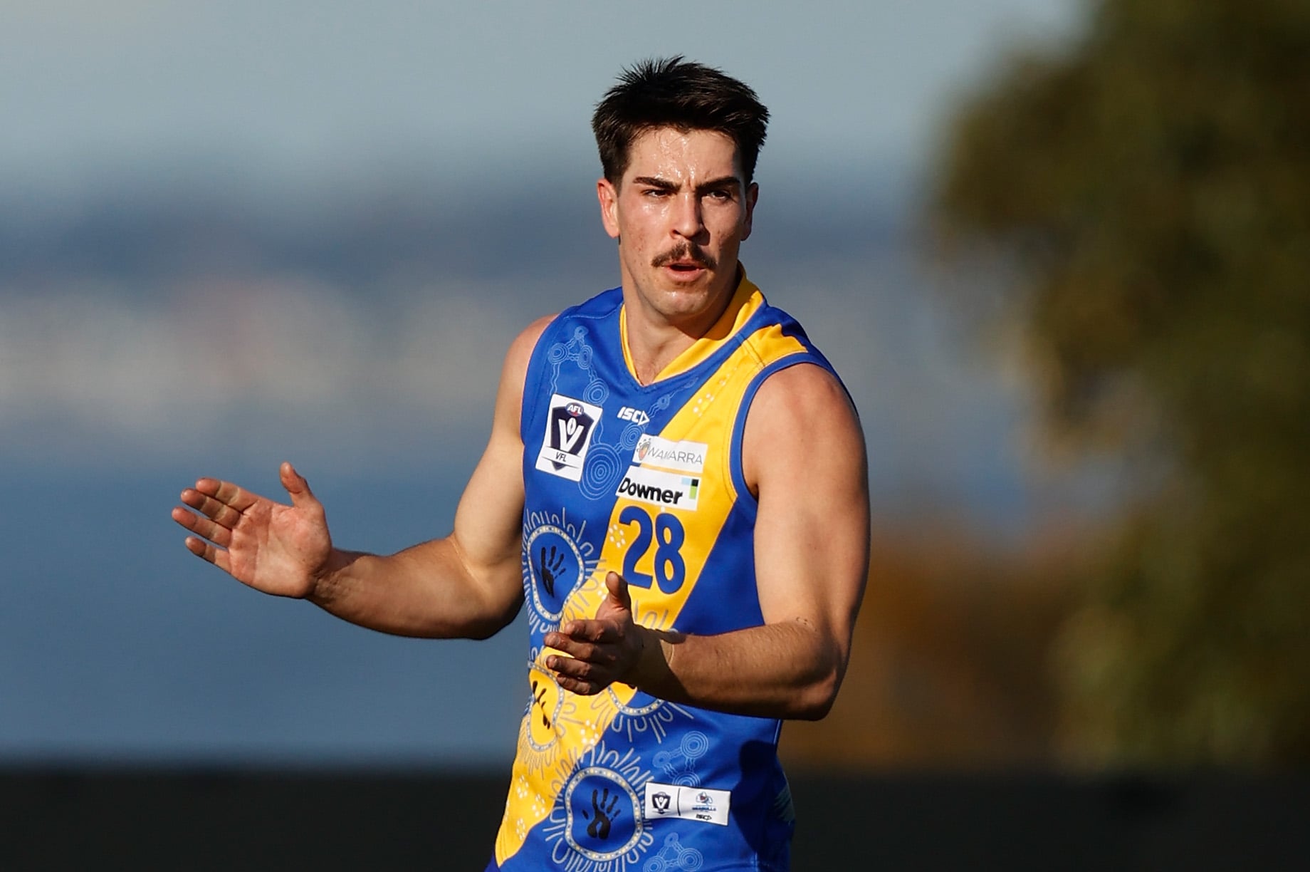 VFL TEAMS: Seagulls, Cats pump up for massive match