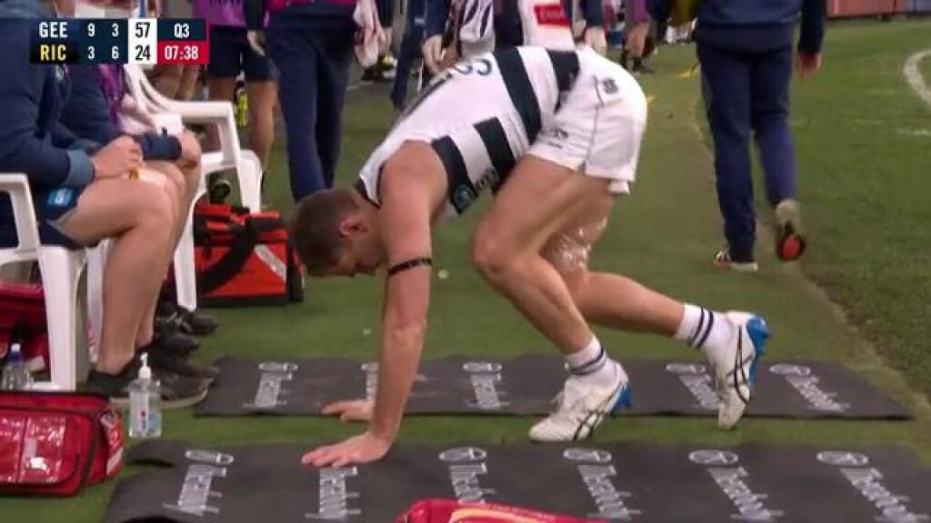 Selwood subbed with corked leg injury